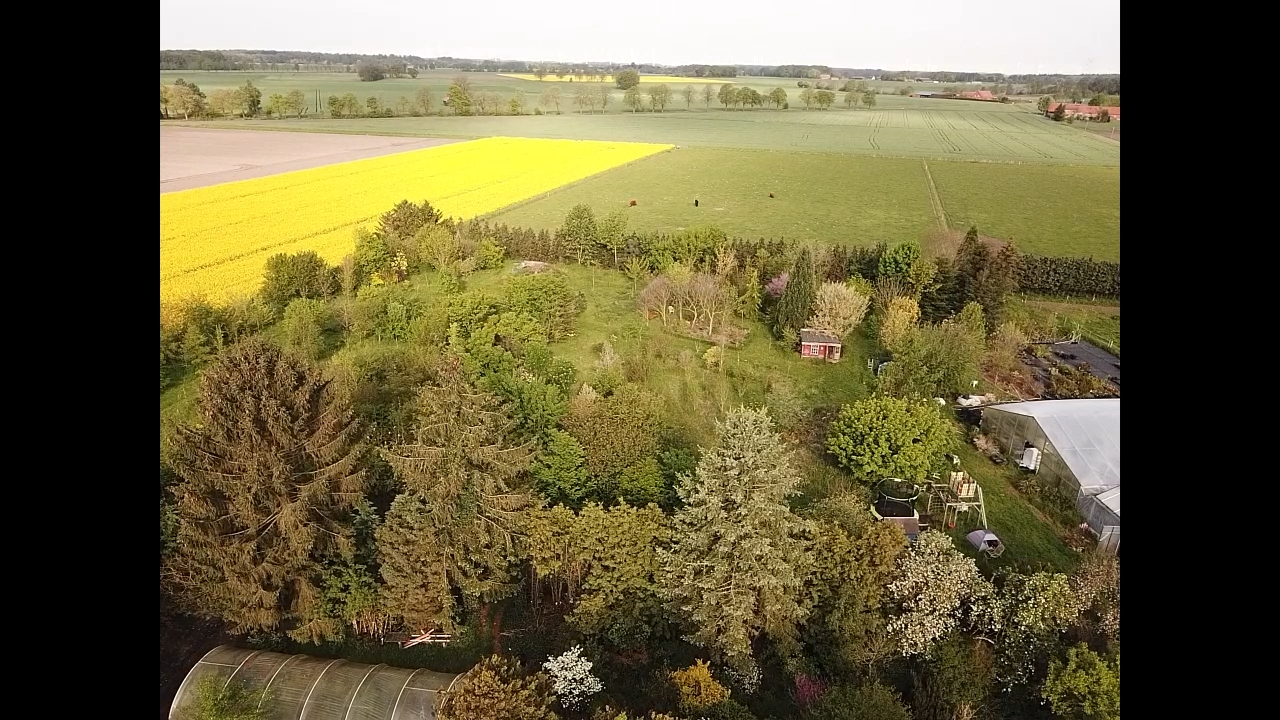 Das Arboretum der Herrenkamper Gärten – Martin Dieck – Meine Seite
